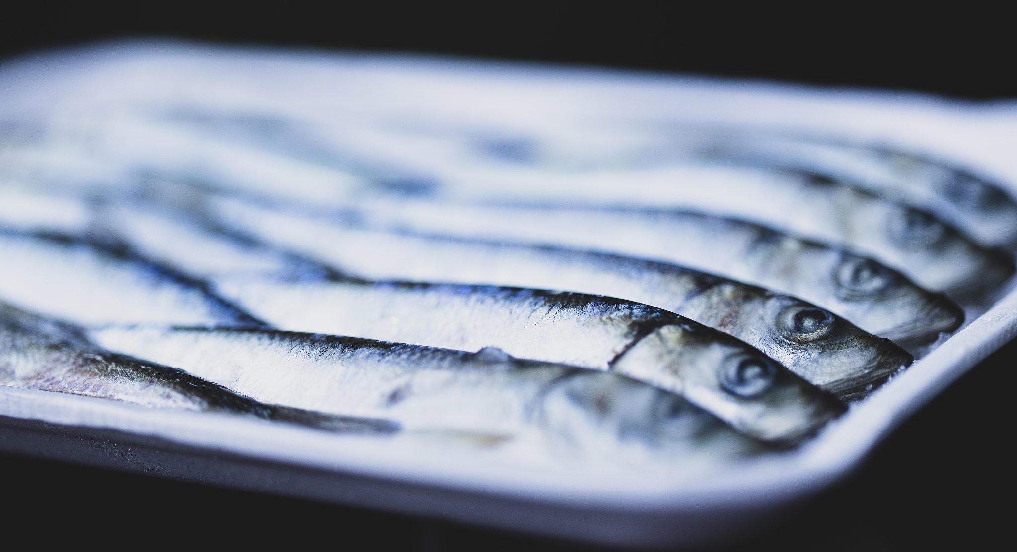 Keeping fish in the fridge for safe consumption in hospitality - Cool ...